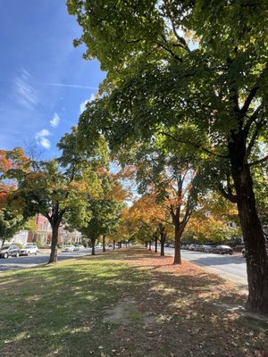 MONUMENT AVENUE - Updated July 2025 - 105 Photos & 21 Reviews - 3321 ...