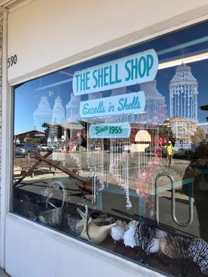 THE SHELL SHOP - Updated June 2025 - 209 Photos & 135 Reviews - 590 ...
