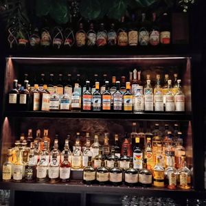 MINISO - Updated January 2026 - 168 Photos & 23 Reviews - 2263 S ...