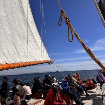 NEXT LEVEL SAILING - Updated May 2024 - 247 Photos & 242 Reviews - 2050 ...