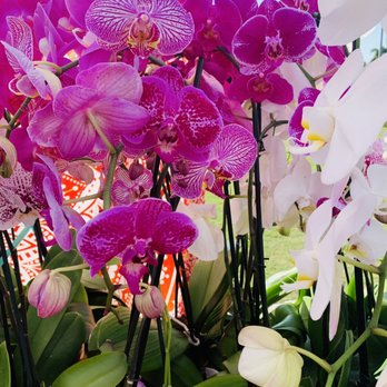 MARCO ISLAND FARMERS MARKET - Updated May 2026 - 87 Photos & 23 Reviews ...