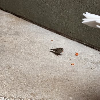 STACKS BAR & GRILL - Updated June 2024 - 509 Photos & 541 Reviews - 175 ...