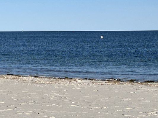 SEAGULL BEACH - Updated June 2024 - 50 Photos & 39 Reviews - Seagull Rd ...