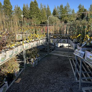 URBAN TREE FARM NURSERY - Updated December 2025 - 141 Photos & 134 ...