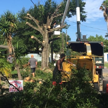 SUNRISE TREE SERVICE - Updated December 2025 - 16 Photos & 16 Reviews ...