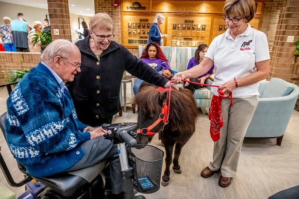 CLARKLINDSEY - Updated October 2025 - 84 Photos - 101 W Windsor Rd ...