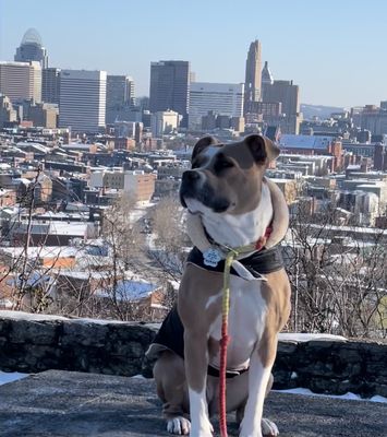 FAIRVIEW PARK - Updated December 2025 - 18 Photos - 501 W McMillan St ...