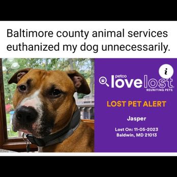 BALTIMORE COUNTY ANIMAL SERVICES - Updated December 2025 - 12 Photos ...