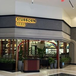 STUBBORN SEED - Updated January 2026 - 382 Photos & 70 Reviews - 3000 S ...