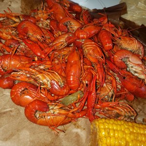 CAPTAIN SID’S SEAFOOD - 55 Photos & 60 Reviews - 1700 Lake Ave ...