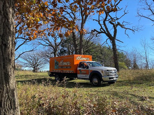 HOMER TREE CARE - Updated December 2025 - 27 Photos & 40 Reviews ...