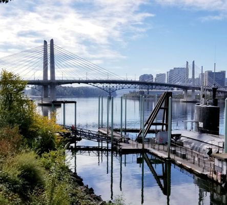 TILIKUM CROSSING: BRIDGE OF THE PEOPLE - Updated October 2024 - 445 ...