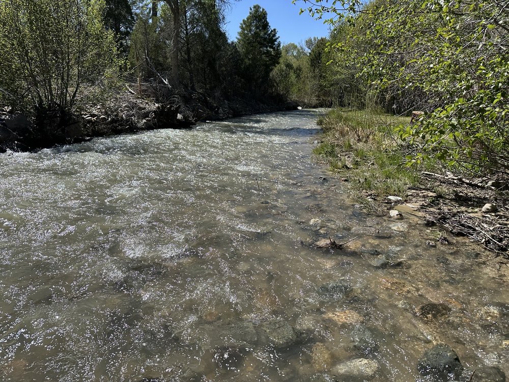 QUESTA LODGE - Updated December 2025 - 12 Photos - 8 Lower Embargo Rd ...