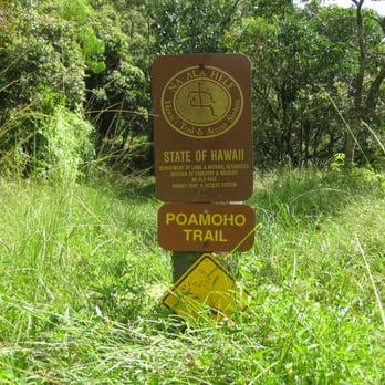 POAMOHO RIDGE TRAIL - Updated December 2025 - 98 Photos & 12 Reviews ...