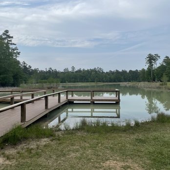 LAKE HOUSTON WILDERNESS PARK - Updated June 2025 - 228 Photos & 61 ...