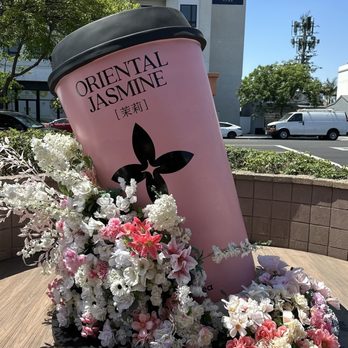 MOLLY TEA - Updated June 2025 - 856 Photos & 621 Reviews - 425 W Valley ...