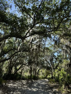 SPLIT OAK FOREST - Updated July 2025 - 85 Photos & 16 Reviews - 12901 ...