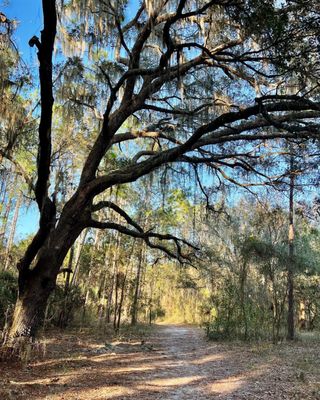 LITHIA SPRINGS PARK - 110 Photos & 53 Reviews - 3932 Lithia Springs Rd ...