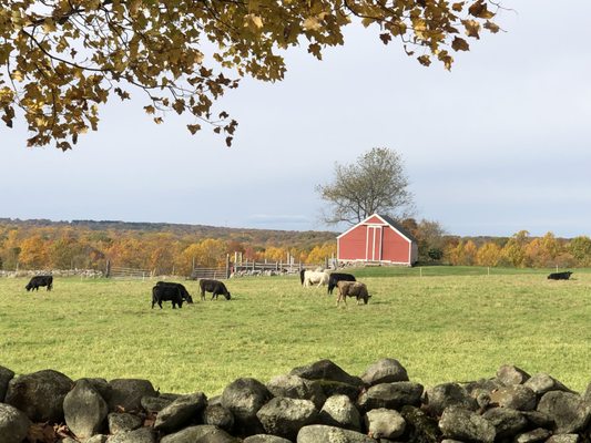 STONE GARDENS FARM - Updated December 2025 - 38 Photos & 27 Reviews ...