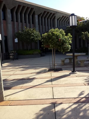 DALY CITY POLICE DEPARTMENT - Updated December 2025 - 33 Photos & 65 ...