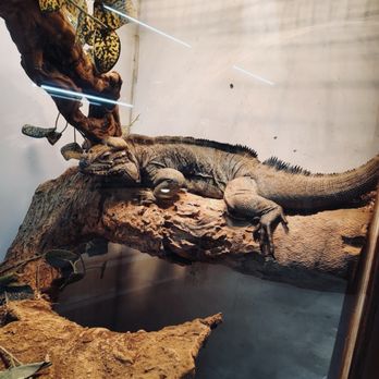 EAST BAY VIVARIUM - Updated January 2026 - 726 Photos & 619 Real ...