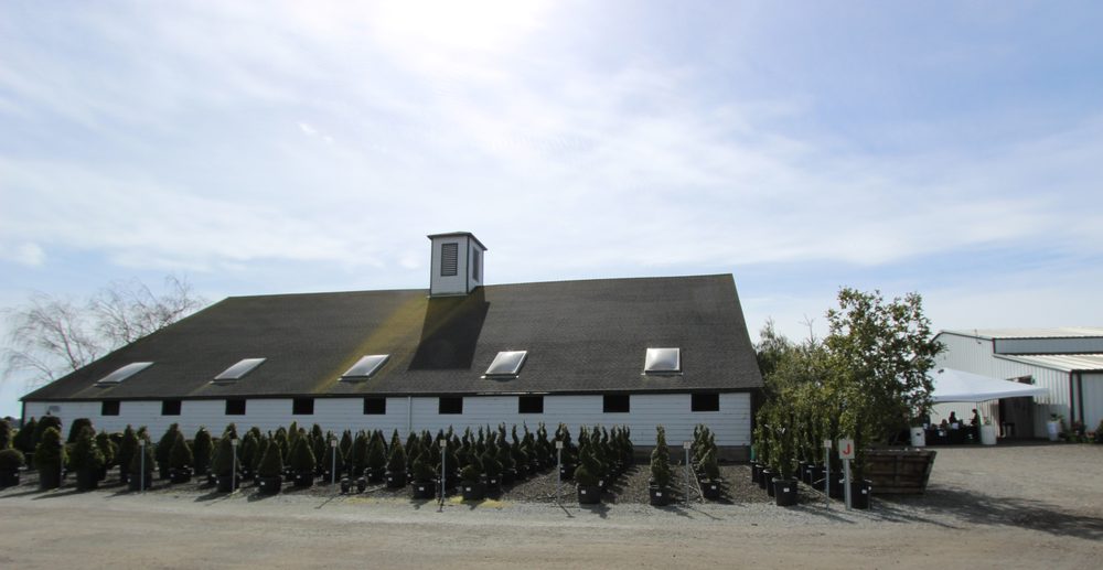 DEVIL MOUNTAIN WHOLESALE NURSERY - PETALUMA - Updated December 2025 ...