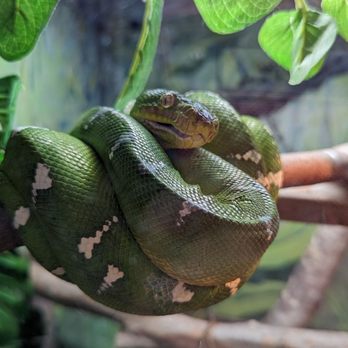 GREENSBORO SCIENCE CENTER - Updated 2024 - 1255 Photos & 199 Reviews ...