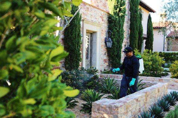 HOMESHIELD PEST CONTROL - Updated January 2026 - 233 Photos & 1250 ...