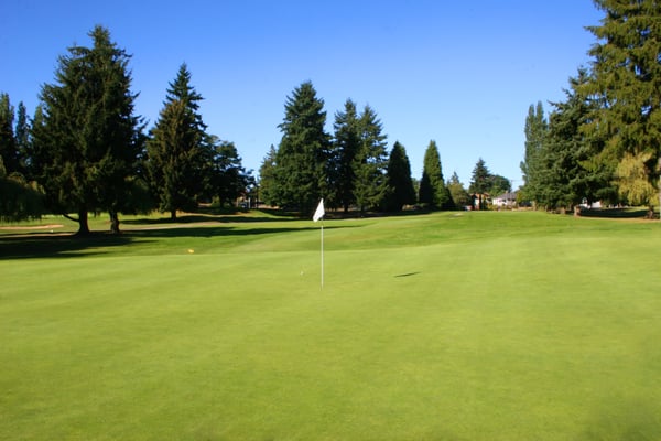 ALLENMORE GOLF COURSE - Updated October 2025 - 15 Photos & 29 Reviews ...