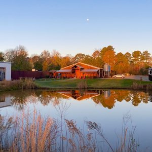 BOXCAR BAR + ARCADE - 196 Photos & 97 Reviews - Bars - 621 Foster St ...