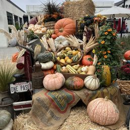 POSTINO DEL MAR - Updated December 2024 - 442 Photos & 225 Reviews ...