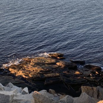 HALIBUT POINT STATE PARK - Updated August 2024 - 192 Photos & 95 ...