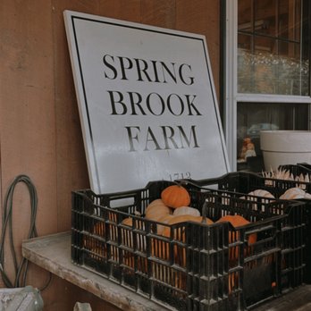 SPRING BROOK FARM COUNTRY STORE - Updated January 2026 - 36 Photos & 32 ...