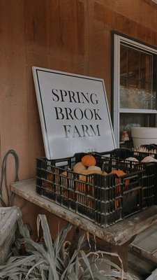 SPRING BROOK FARM COUNTRY STORE - Updated December 2025 - 36 Photos ...