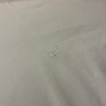 ALOFT LEXINGTON - Updated November 2024 - 109 Photos & 175 Reviews ...