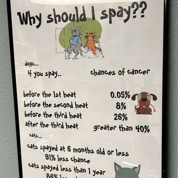 CALISTA ANIMAL HOSPITAL - Updated December 2025 - 10 Photos & 44 ...