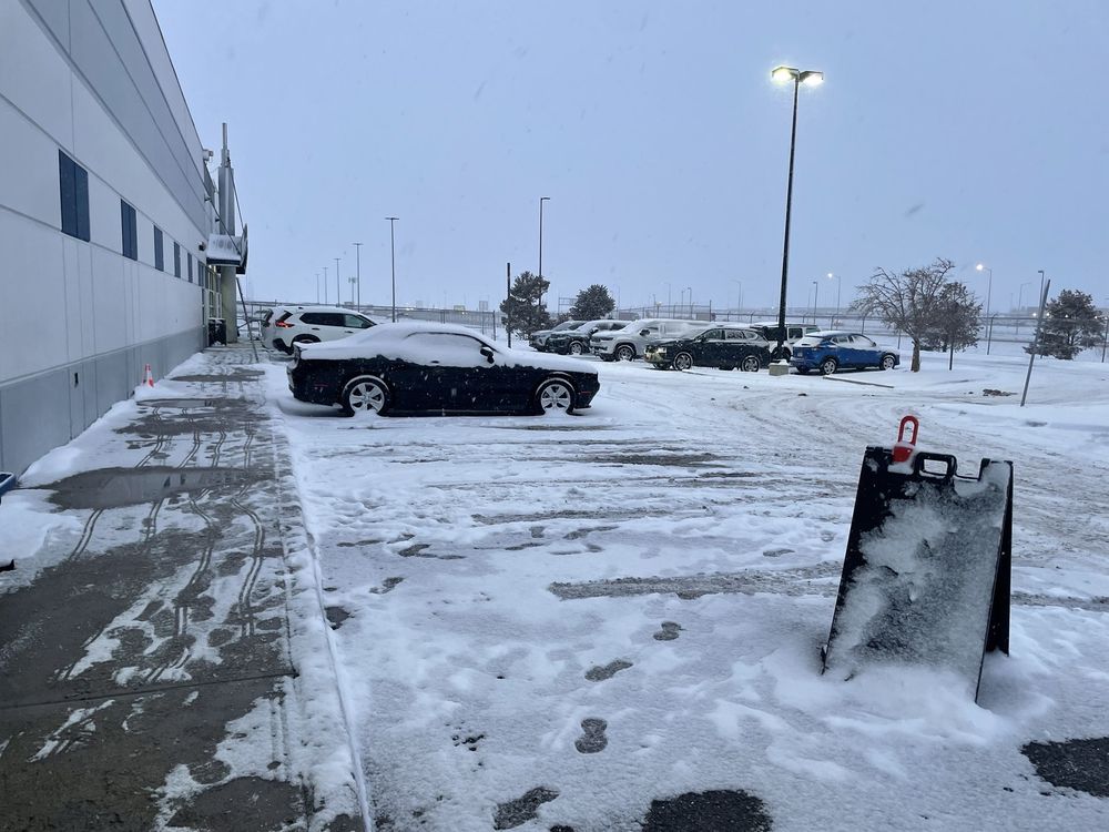 FOX RENT A CAR - Updated August 2025 - 490 Photos & 2490 Reviews ...