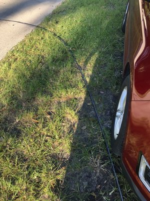 LEWIS TREE SERVICE - Updated December 2025 - 21 Photos & 31 Reviews ...