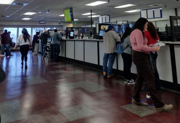 DEPARTMENT OF MOTOR VEHICLES - Updated October 2025 - 49 Photos & 180 ...