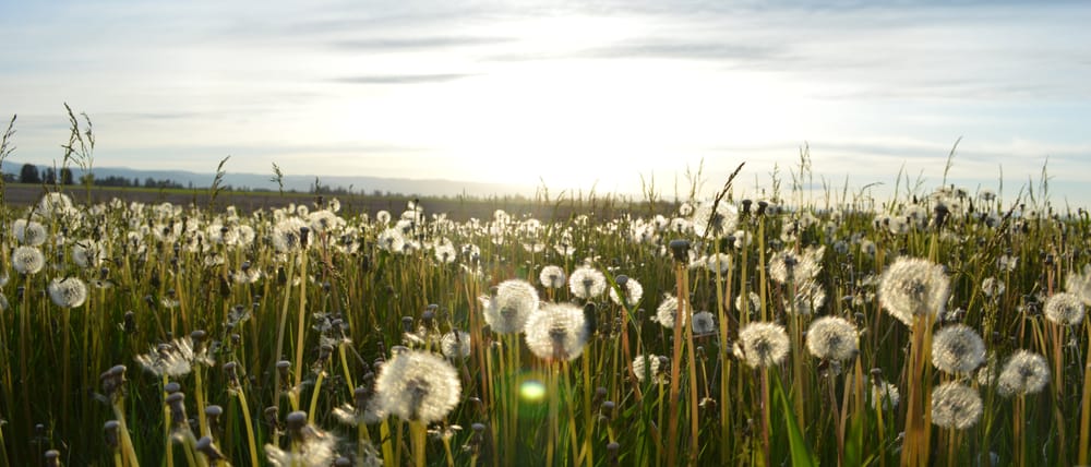 INTELLIPOP - Updated September 2025 - 673 S Innovation Cir, Payson ...