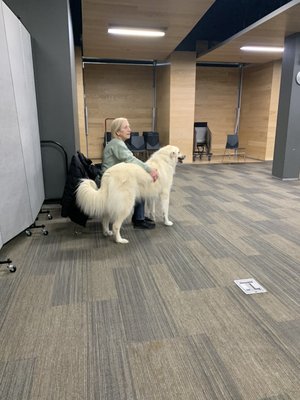 LAWRENCE PUBLIC LIBRARY - Updated November 2025 - 21 Photos & 25 ...