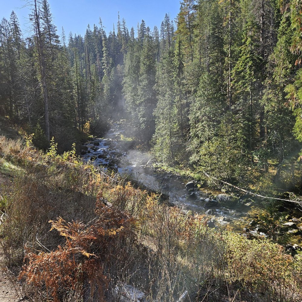 Hamilton - Last Updated 2024 - Yelp