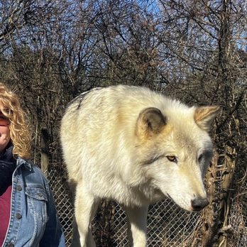 HOWLING WOODS FARM - Updated September 2025 - 253 Photos & 76 Reviews ...