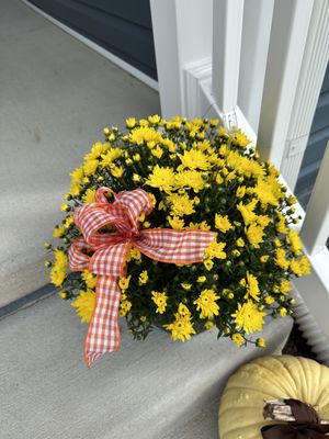 FLOWERS ON SAVANNAH AND FLORAL 302 - Updated December 2025 - 12 Photos ...