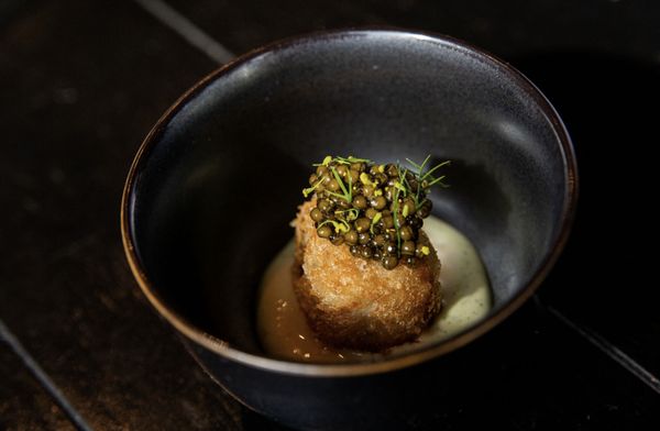 STUBBORN SEED - Updated March 2025 - 54 Photos & 13 Reviews - 3000 S ...