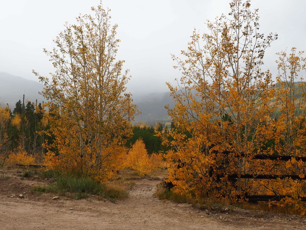 PINGREE PARK CAMPUS COLORADO STATE - Updated November 2025 - 16321 ...