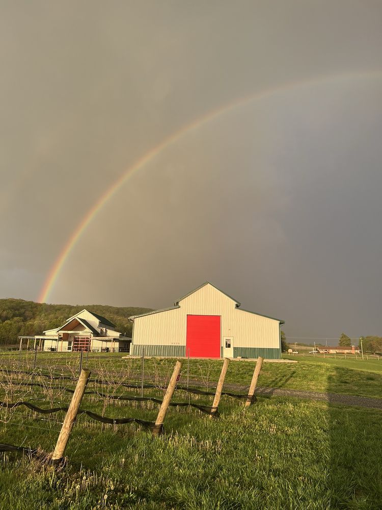 CASTELLO BARONE VINEYARDS & WINERY - Updated October 2025 - 35 Photos ...