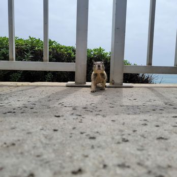 TAMARACK STATE BEACH - Updated December 2025 - 399 Photos & 99 Reviews ...