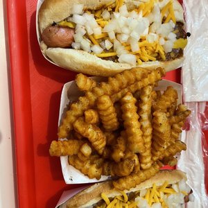 HAUTE DOGGERY - 696 Photos & 449 Reviews - 3545 S Las Vegas Blvd, Las ...