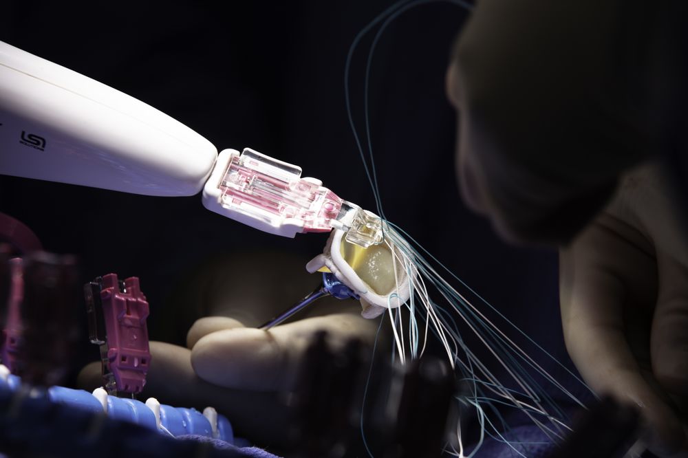 LSI SOLUTIONS - Updated July 2025 - 7796 Victor Mendon Rd, Victor, New ...